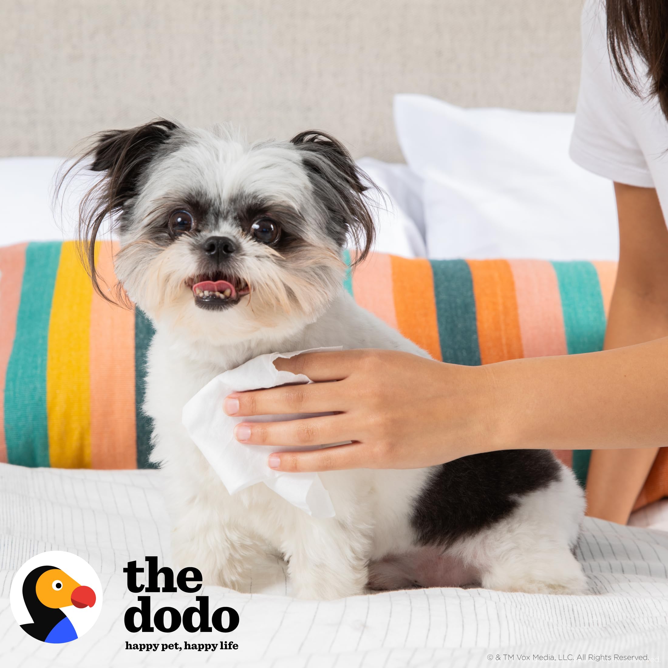 The Dodo Multipurpose Wipes for Dogs, Sweet Vanilla Almond with Hemp Seed and Castor Oil; Easy Wipes for Dogs, Waterless Grooming Supplies