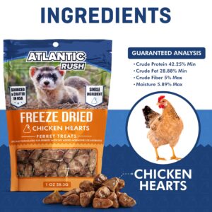 Freeze Dried Small Pet Treats - 1oz Resealable Bag of Treats for Ferrets - Ferret Snacks - Single Ingredient Ferret Food With No Preservatives Or Fillers- Small Animals Treats (1 oz, Chicken Heart)