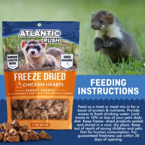 Freeze Dried Small Pet Treats - 1oz Resealable Bag of Treats for Ferrets - Ferret Snacks - Single Ingredient Ferret Food With No Preservatives Or Fillers- Small Animals Treats (1 oz, Chicken Heart)