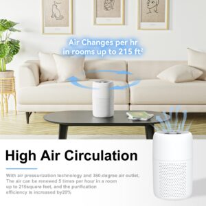 4 Pack TPLMB P60 Air Purifier Replacement Filters,Three-in-One Nylon Pre-Filter,True HEPA Filter,High-Efficiency Carbon Filter,P60-RF (white)