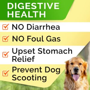 Allergy Relief + Probiotics Dogs Bundle - Itchy Skin Treatment + Digestive Enzymes - Omega 3 & Pumpkin + Prebiotics - Dogs Itching & Licking Treats + Improve Digestion - 360 Chews - Made in USA