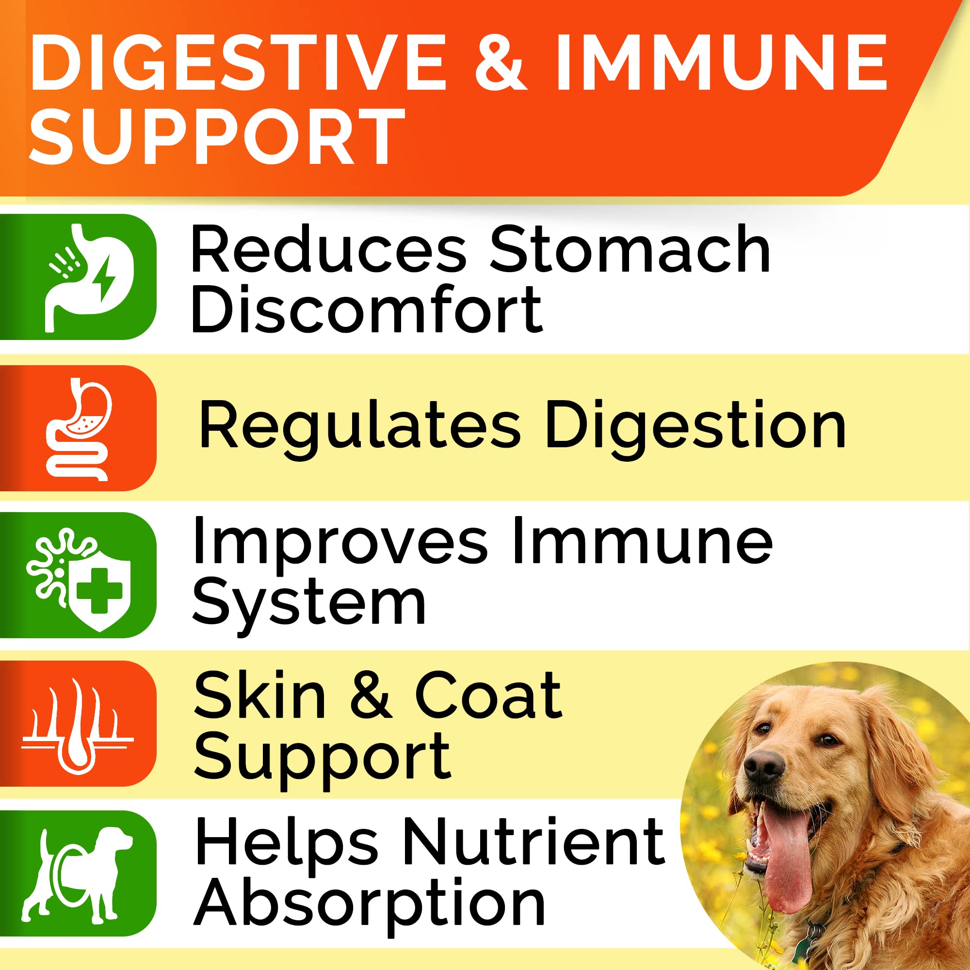 Allergy Relief + Probiotics Dogs Bundle - Itchy Skin Treatment + Digestive Enzymes - Omega 3 & Pumpkin + Prebiotics - Dogs Itching & Licking Treats + Improve Digestion - 360 Chews - Made in USA