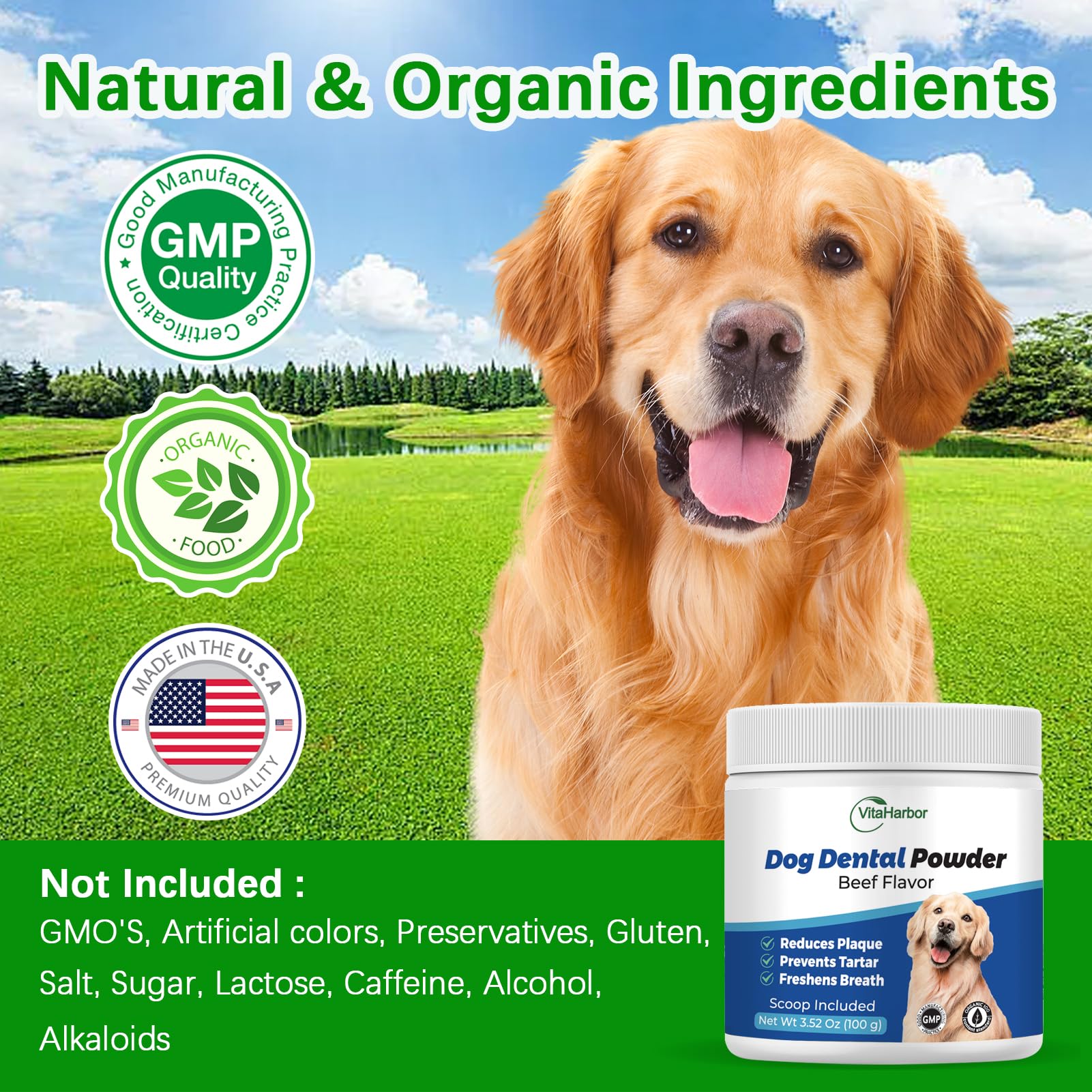 Dog Teeth Cleaning Powder, Dog Dental Powder, Dog Plaque and Tartar Remover Dog Breath Freshener, for Mouth, Teeth and Gum Health, Reduce 90% Dental Problems, Beef Flavor (100g)