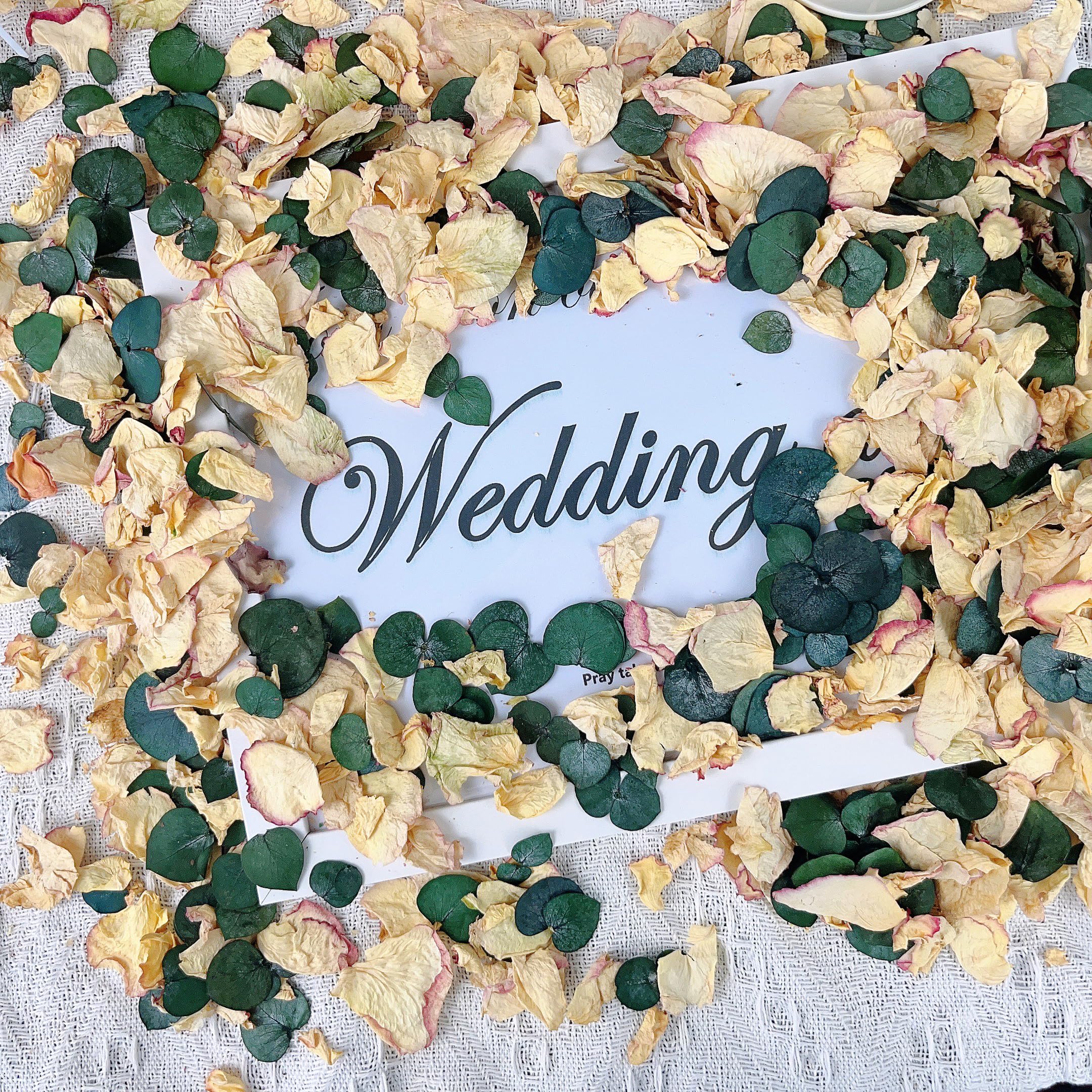 Oning 2 QT Mix Dried Bio Flower Rose Petals Confetti, 20+ Cups of Ivory White Roses & Eucalyptus Leaves, Real Petals for Wedding Parties Romantic Gifts, Flower Girl Bridal