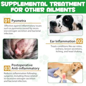 Natural Antibiotics for Dogs - Dog Antibiotics - Antibiotics for Dogs - Pet Antibiotics - Natural Antibiotics for Dogs - Organic Ingredients - Dog Multivitamin 60ml