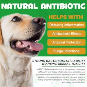 Natural Antibiotics for Dogs - Dog Antibiotics - Antibiotics for Dogs - Pet Antibiotics - Natural Antibiotics for Dogs - Organic Ingredients - Dog Multivitamin 60ml