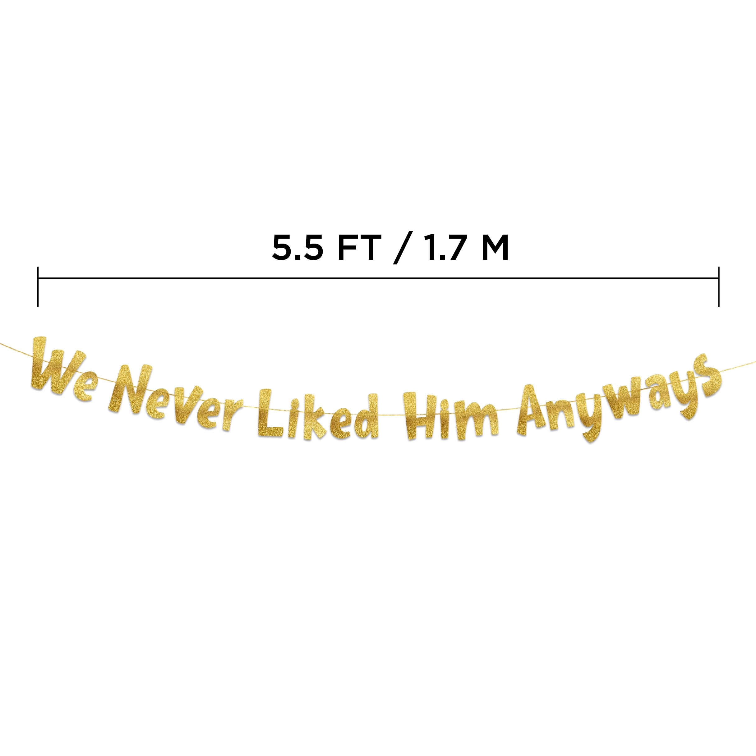 We Never Liked Him Anyways Gold Glitter Divorce Party Banner – Newly Single – Funny Breakup Decorations