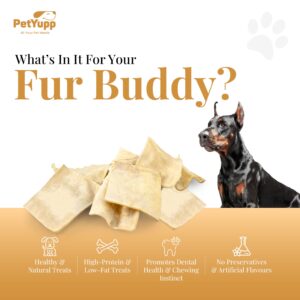 PetYupp Water Buffalo Cheek Chips (3" X 3") Dog Chews - 8 oz - Natural Dog Treats - For Small, Medium & Large Dog, High-Protein, Low-Fat & Easy Digest Dog Treats, Promotes Dental Health - No Additives