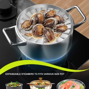 LANVIYA Vegetable Steamer Basket,2 Layer Large Capacity Food Steamer for Cooking,Stainless Steel Folding Expandable Steamers to Fit Various Size Pot,Multi-function Kitchen Basket for Baby Food