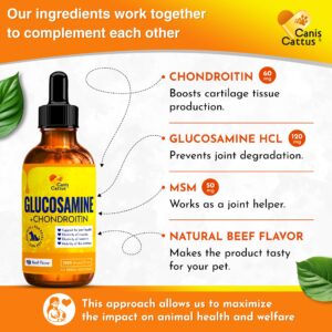 Cat Glucosamine | Dog Joint Supplement Liquid | Cat Vitamin | Dog Vitamin | Glucosamine for Cats and Dogs | Cats and Dog Vitamins and Supplements | Bundle