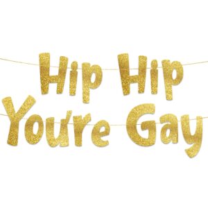 hip hip you're gay gold glitter banner - engayged banner – lgbtq decorations for bride and groom – pride – gay wedding - coming out party