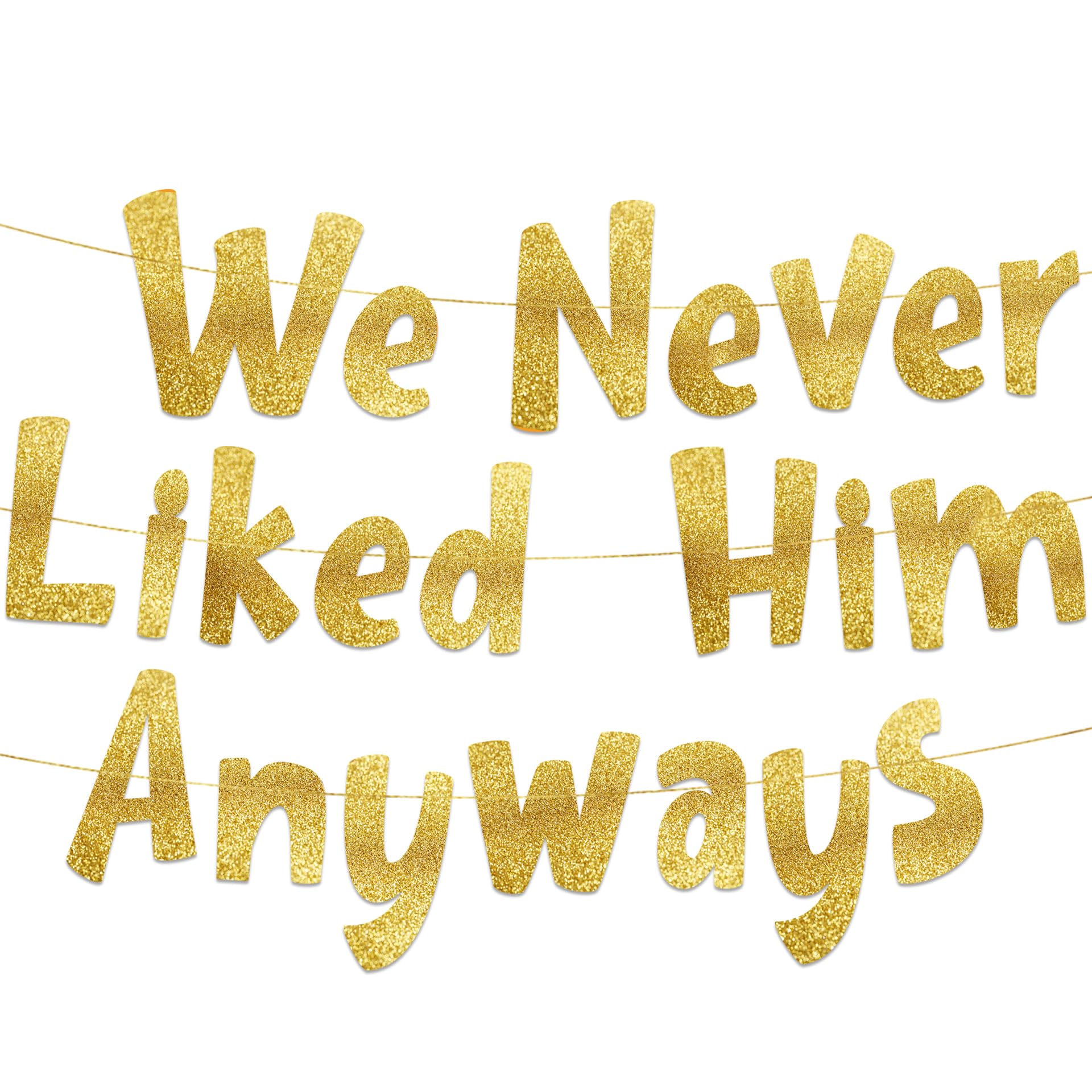 We Never Liked Him Anyways Gold Glitter Divorce Party Banner – Newly Single – Funny Breakup Decorations