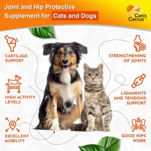 Cat Glucosamine | Dog Joint Supplement Liquid | Cat Vitamin | Dog Vitamin | Glucosamine for Cats and Dogs | Cats and Dog Vitamins and Supplements | Bundle