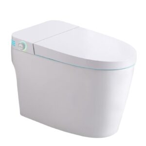 bwe one-piece smart toilet with bidet built in with foot sensing auto flush auto open & auto close heated seat warm water and dry wireless remote control with led digital display toilet