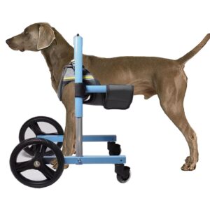 Elitix Injured Dog Wheelchair for Front Legs Support Only, Dog Front Legs Mobility Aids for Small Medium Large Dog, Dog Leg Support Brace/Mobility Cart(XL), 78634