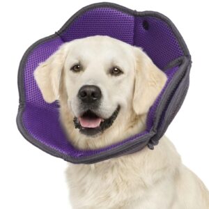 allroaring dog cone collar after surgery,wound care,spay,neuter,after surgery,dog recovery collar,adjustable e-collar for large/medium/small dogs cat,elizabethan collar,alternative e collar,purple,l