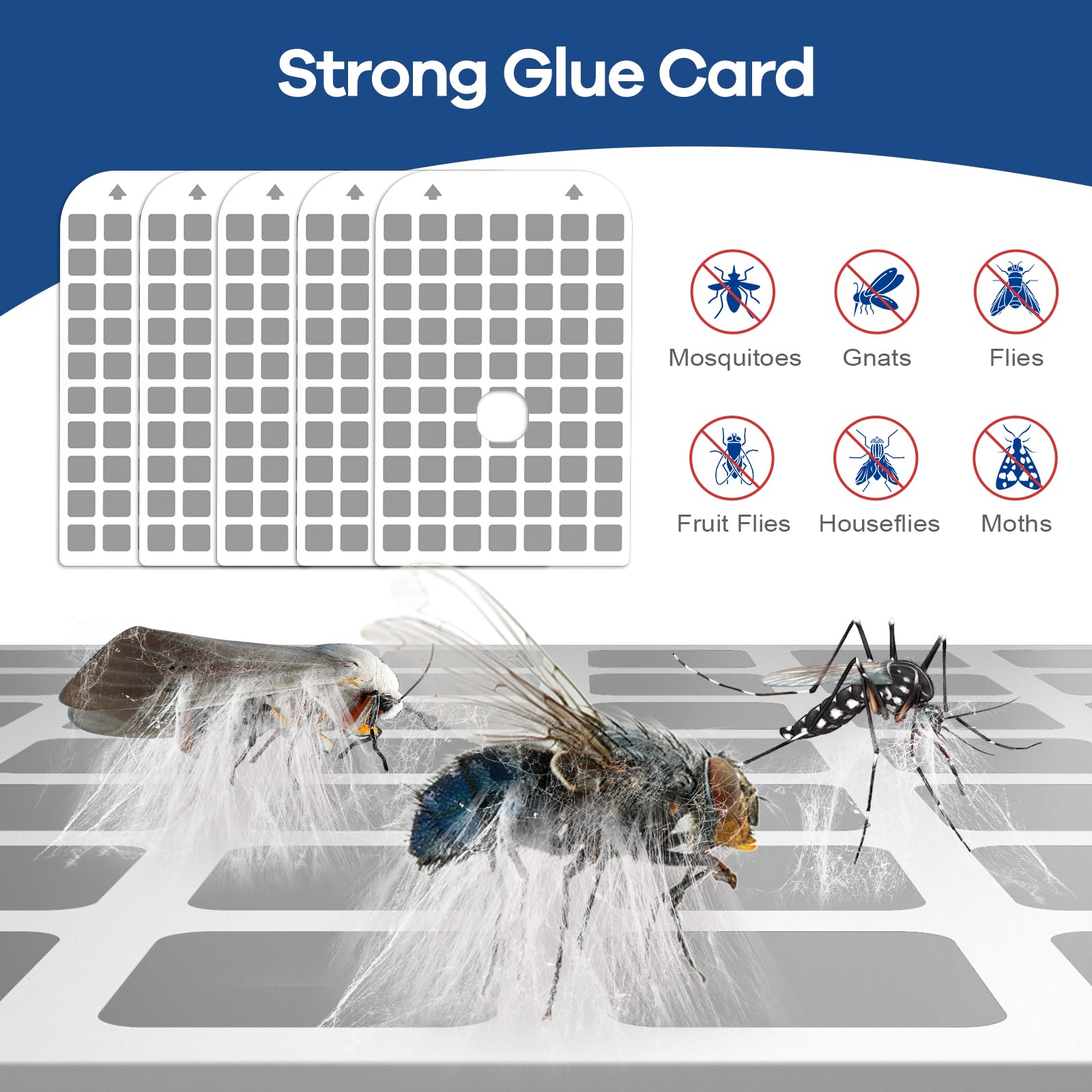 DFAGIE GS6 Fly Trap Indoor Refill Glue Cards, Replacement Glue Card 10 Pack