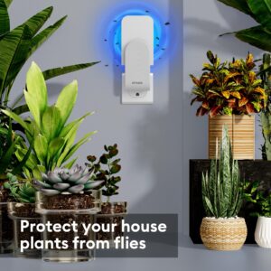 2 Pack Fly Trap Indoor(2 Device + 10 Glue Cards), Mosquito Killer, Plug-in Flying Insect Trap for Mosquito, Flies, Fruit Flies, Moths, Gnats