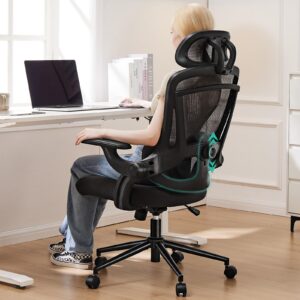 Ergonomic Mesh Office Chair, High Back Desk Chair with 2D Headrest, Up&Down Lumbar Support, Swivel Computer Task Chair with Adjustable Flip-up Armrests, Black