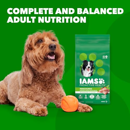 Iams Adult Minichunks Small Kibble High Protein Dry Dog Food with Real Chicken, 3.3 lb. Bag (Pack of 2)