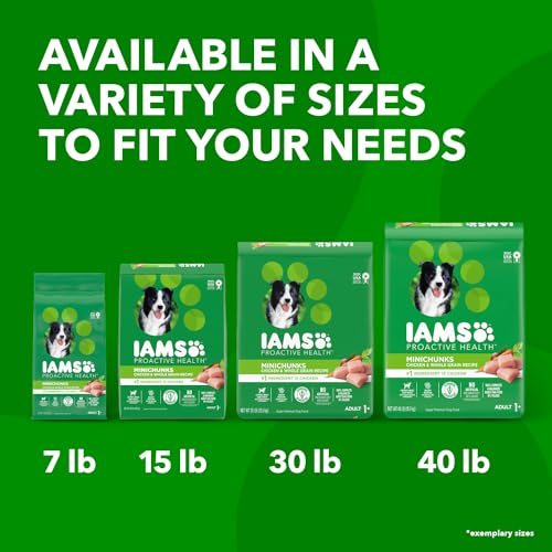 Iams Adult Minichunks Small Kibble High Protein Dry Dog Food with Real Chicken, 3.3 lb. Bag (Pack of 2)