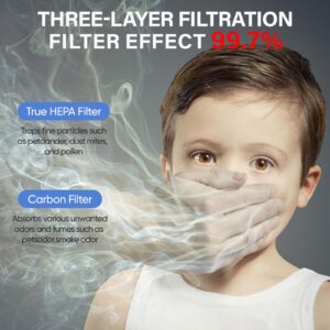 LBLVBNEWD Aer1 Filter Replacement for Holmes AER1 Air Purifiers, 4 True HEPA Air Filters + 8 Carbon Booster Filters for Replacement Parts # HAPF300AH-U4R, HAP242-NUC