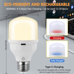 USB C Rechargeable Light Bulbs with Remote, 5W LED Dimmable Battery Powered Light Bulb, Touch Control E26 Portable Emergency Light Bulbs with Timer, for Home Power Outages, Non Hardwired, 2 Pack