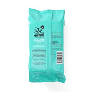 Wags & Wiggles Cleanse Hypoallergenic Wipes 100ct | Hypoallergenic Dog Wips 100 Count Package, Fragrance Free | Waterless Bathing to Keep Pets with Sensitive Skin Clean (FF22031) (Pack of 2)