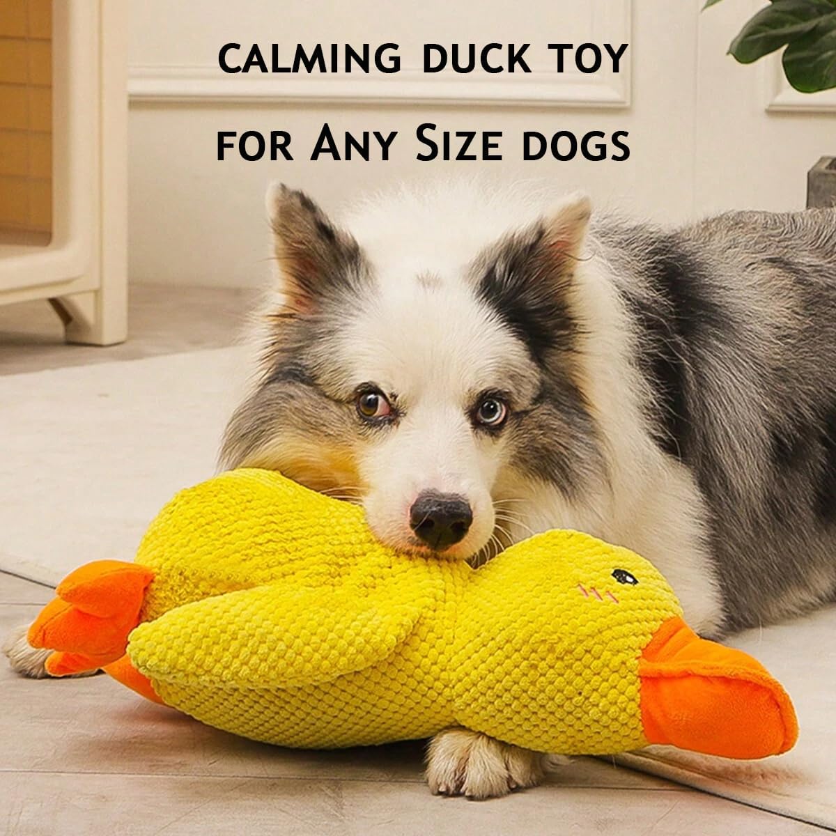 Generic 2024 The Mellow Dog Calming Duck,Calming Duck Dog Toy,Yellow Duck Dog Toy,Duck Toy for Dogs,The Calming Duck Dog Toy,Dog Toy Duck with Squeaker (1PCS-A)