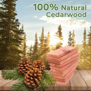 Tupetcs 10 Pcs Cedar Blocks for Clothes Storage, Cedar Planks for Closets and Drawers, Aromatic Cedar Wood Hang Ups with Sandpaper-Clothes Storage Freshener