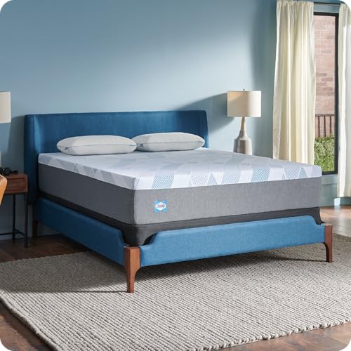 Sealy Dreamlife 12” Foam Mattress-in-a-Box, Full