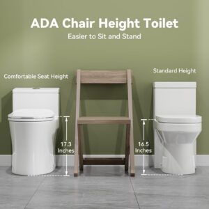 HOROW T0338W One Piece Toilet with Non-Electric Bidet Toilet Seat, Elongated ADA Chair Height Toilets with Adjustable Nozzles Seat, Powerful Dual Flush & Soft Closing Seat Include, MAP 1000g, White