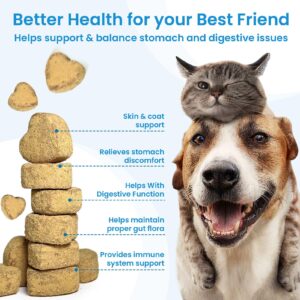 Bighero Probiotics for Dogs - Dog Probiotics for Gut Health & Digestive Health, Support Immune System, Diarrhea & Seasonal Allergies, Dog Supplement with Prebiotics & Digestive Enzymes, 180 Soft Chews