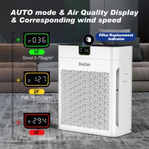 Air Purifiers for bedroom with PM 2.5 Display Air Quality Sensor,Remove Pet Hair Dust Smoke Pollutants Odor, 25dB Sleep Mode, Timer,Aromatherapy,HEPA Air Purifier for Home Large Room up to 1100 Sq Ft