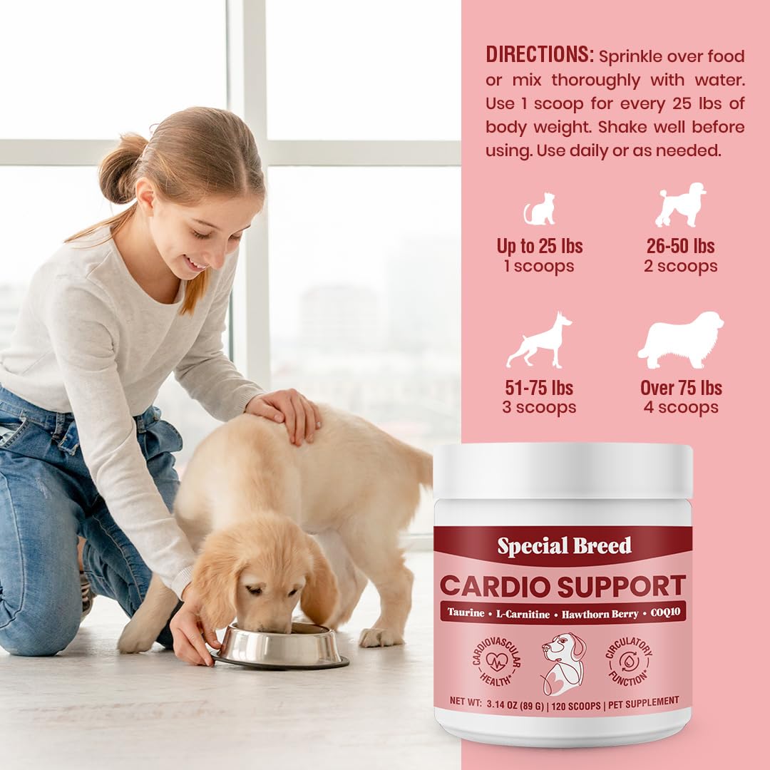 Special Breed Cardio Support for Dogs - Heart Health Support with Taurine, CoQ10, Organic Hawthorne Berry, Powder Supplement, 120 Scoops, 3.14 oz