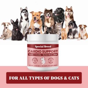 Special Breed Cardio Support for Dogs - Heart Health Support with Taurine, CoQ10, Organic Hawthorne Berry, Powder Supplement, 120 Scoops, 3.14 oz