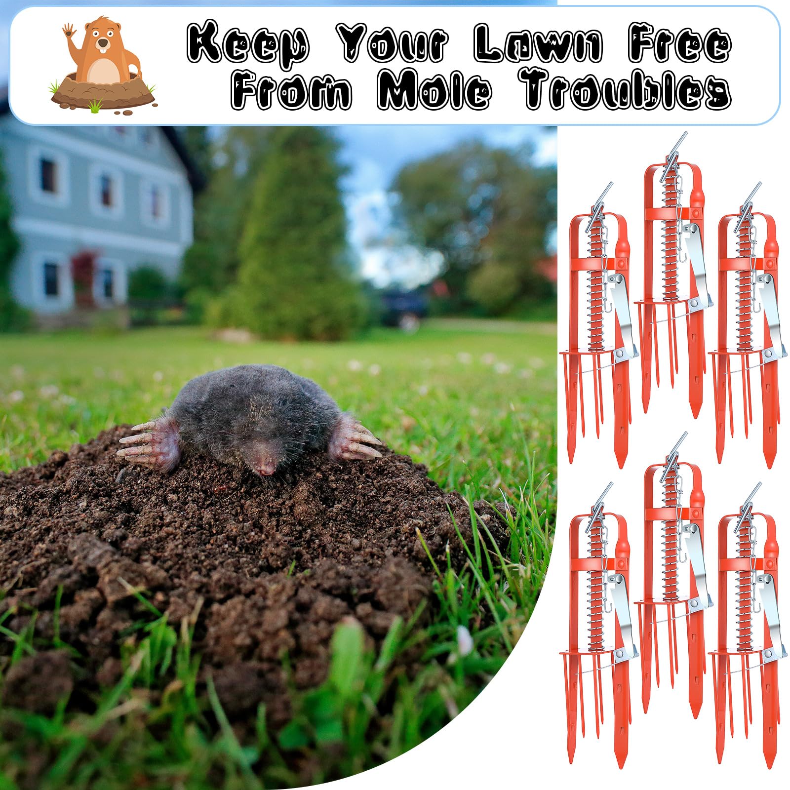 Qualirey 6 Pcs Mole Trap for Lawns, Spear Style Mole Killer for Garden Yard Outdoor, Alloy Steel Mechanical Vole Gopher Trap, Quick and Clean Mole Traps That Kill Best