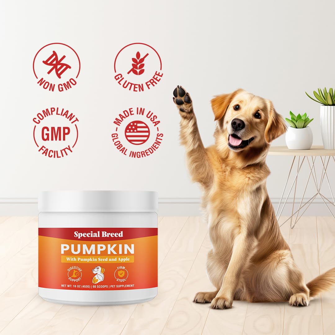 3-in-1 Pumpkin Powder for Dogs (16 oz) - with Organic Pumpkin, Pumpkin Seed, & Apple, All Natural Dog Digestive Support, Great Balance of Soluble and Insoluble Fiber for Dogs, 60 Scoops