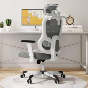 ergonomic office chair reclining gaming chair adjustable lumbar support 4d armrest 6d headrest breathable mesh swivel computer chairs home task desk chair coat hanger tilt lock (pro, grey)