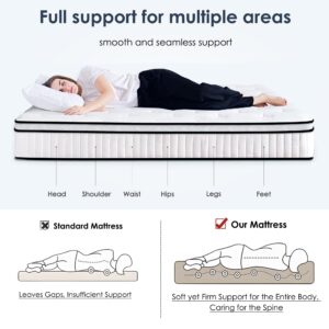 SogesSleep Queen Mattress, 12 Inch Queen Mattress in a Box with Gel Memory Foam Mattress, Medium Firm Mattress for Pressure Relief, Strong Edge Support, CertiPUR-US & Fiberglass Free