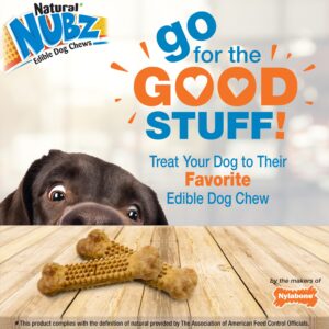 Nylabone Nubz Natural Edible Chew Treats for Dogs, Long Lasting Chews Made in USA, Chicken Flavor, Small - Up to 25 lbs. (36 Count)