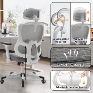 Ergonomic Office Chair Reclining Gaming Chair Adjustable Lumbar Support 4D Armrest 6D Headrest Breathable Mesh Swivel Computer Chairs Home Task Desk Chair Coat Hanger Tilt Lock (Pro, Grey)