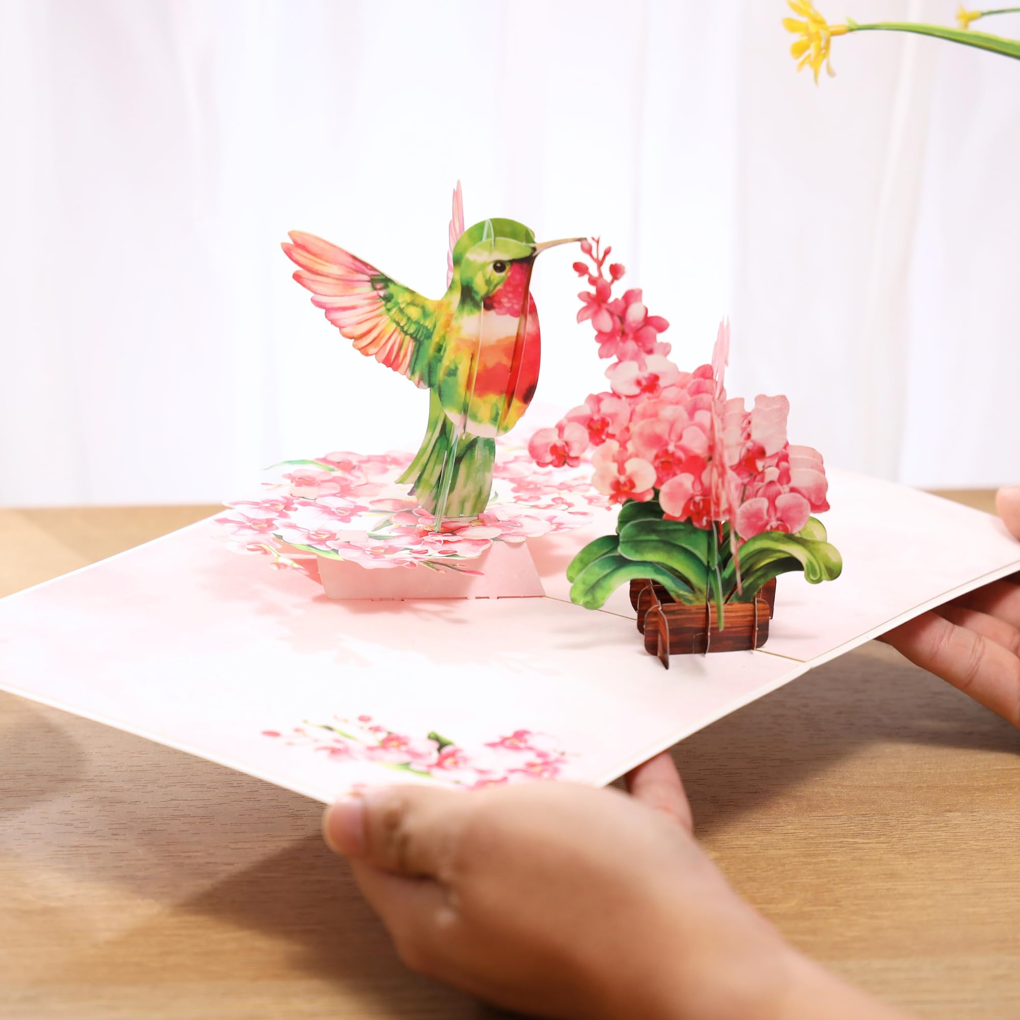 Birthday Card for Women, 3D Hummingbird Orchid Flower Pop Up Birthday Cards for Mom, Wife, Daughter, Her, Sister, Girlfriend, Grandma, Mother's day, Thank You, Anniversary, Valentine's Day Cards