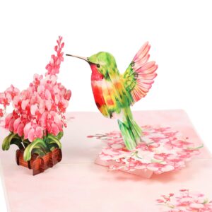 birthday card for women, 3d hummingbird orchid flower pop up birthday cards for mom, wife, daughter, her, sister, girlfriend, grandma, mother's day, thank you, anniversary, valentine's day cards