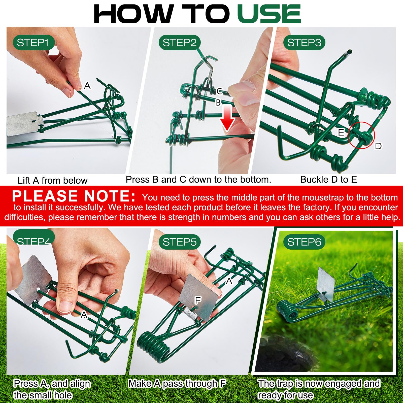 Qualirey 8 Pcs Gopher Trap with Chain Mole Trap Green Stainless Steel Weather Resistant Gopher Trap Gopher Killer Vole Trap for Lawn Garden Farm Outdoor