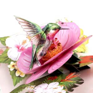 loveecho birthday card, hover hummingbird pop up card, 5x7-3d greeting card with note card & envelope for birthday, anniversary, thank you, thanksgiving, christmas, get well, thinking of you, congrats, or any occasion, for her, women, wife, mom, grandma,