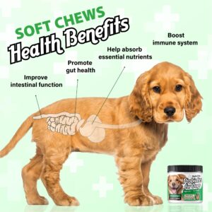 Charlie & Buddy Pet Probiotics for Dogs Aid Gut Flora, Dog Probiotics for Digestive Health with Digestive Enzymes, Pumpkin, and Papaya for Upset Stomach, 90 Soft Probiotic Chews for Dogs, Duck Flavor