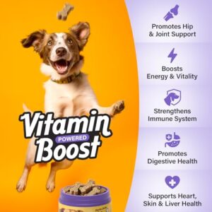 Charlie & Buddy Dog Multivitamin 21 in 1 - Dog Vitamins and Supplements with Vitamin C Multivitamin for Dogs - Chicken Flavour Dog Vitamins Soft Chews - 90ct