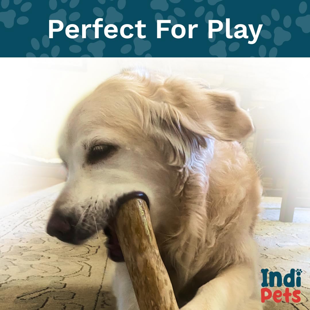 INDIPETS Coffee Wood Dog Chew Stick Stress Relief Toy: Natural Durable Real Wooden Bone Sticks for Dogs, Safe Dental Cleaning Chews for Teething Puppy | X-Small, Natural (PN: 50011)