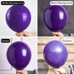 PartyWoo Dark Purple Balloons 85 pcs Purple Balloons Different Sizes Pack of 18 12 10 5 Inch Purple Balloon Arch Kit Balloon Garland for Birthday Halloween Graduation Party Decorations Purple-Y16